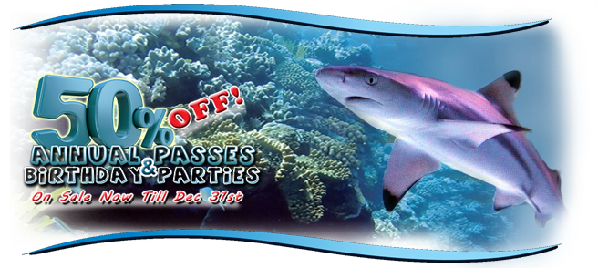 header-shark - Austin Aquarium